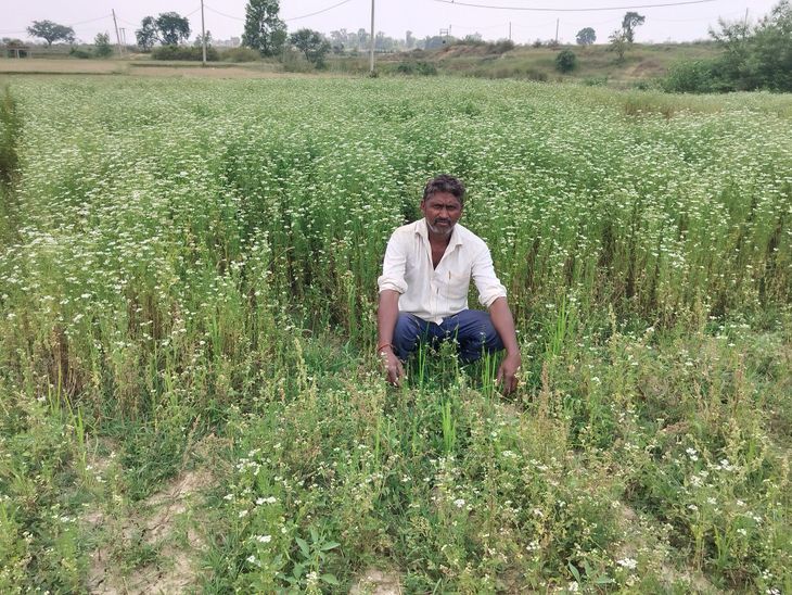 300 kg coriander sold