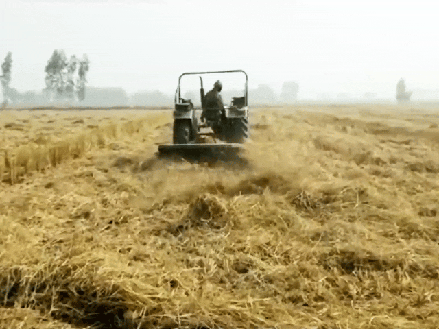 Jhunjhunu Green Electricity | Biomass Plant Model Rajasthan