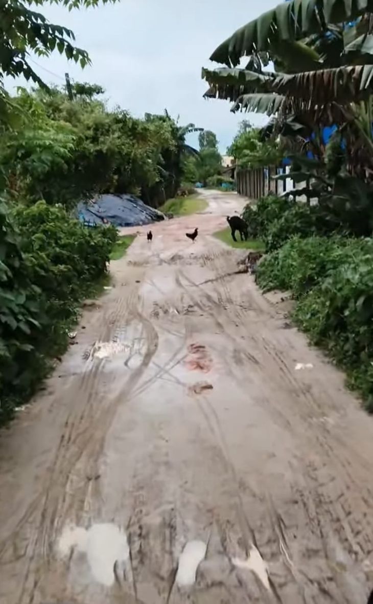 The road in Rasiya Panchayat is in a dilapidated condition, causing ...