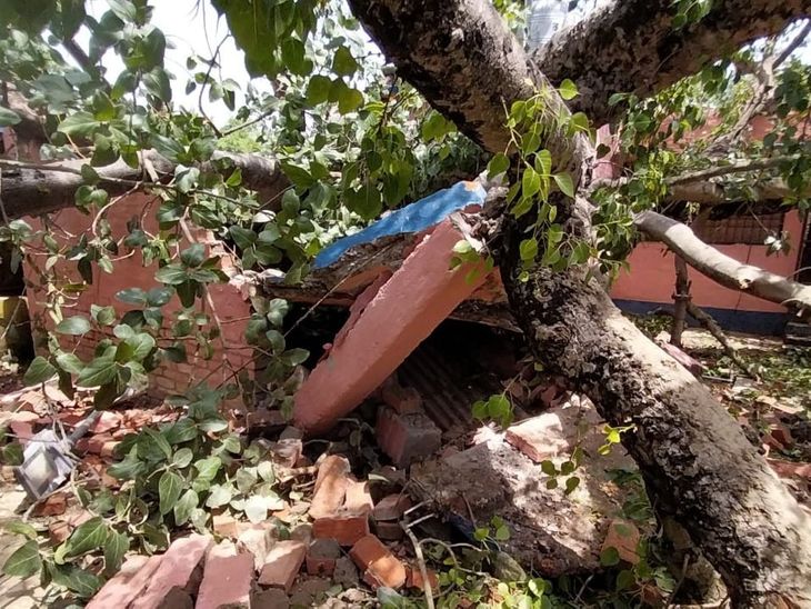 Darbhanga School Building Damaged As Tree Falls | Kitchen Collapsed
