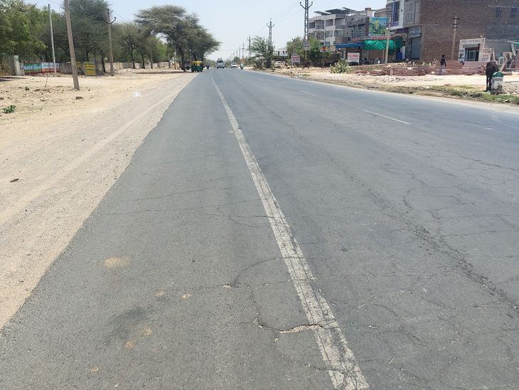 Churu Heatwave Cripples Khejra: Business Suffers