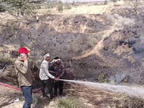Holawas Bansur Farmers Pipes Fodder Burnt | River Plants Fire