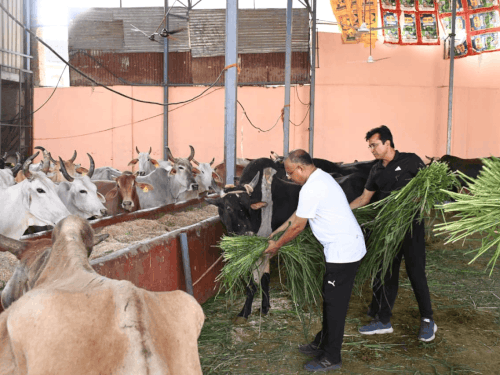 Vande Ganga Water Conservation: Gaushala Shramdaan & Aarti