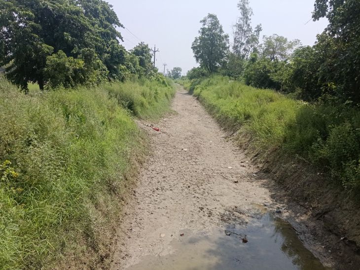 Maya Bazaar Farmers Face Irrigation Crisis; Diesel Costs Soar