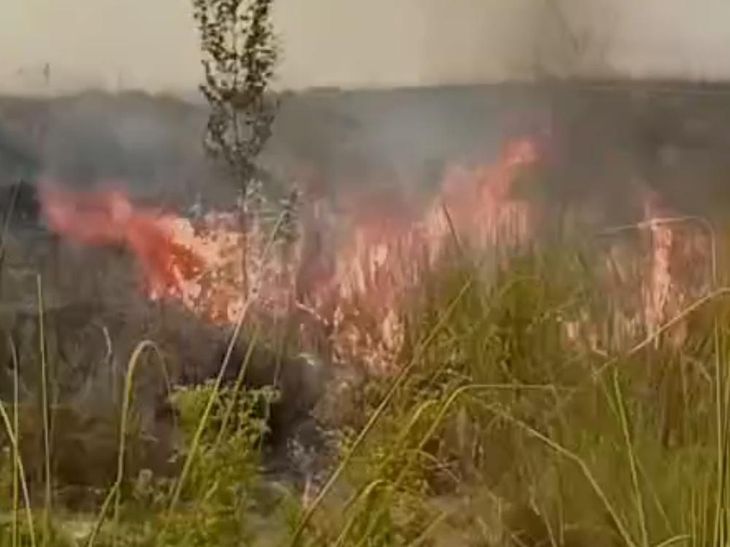 Nagla Mahwai Jungle Fire Controlled | Villagers, Forest Dept, Fire Brigade