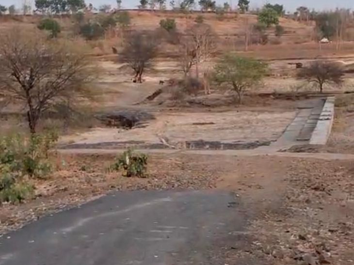 Pandhurna Marriage Blocked by RoadBridge Lack; Youth Gives Memo to ...