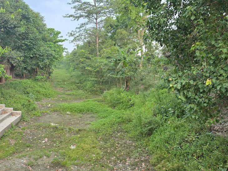 Rohi Nakshatra Begins; Farmers Worried Over Nautan Irrigation Crisis