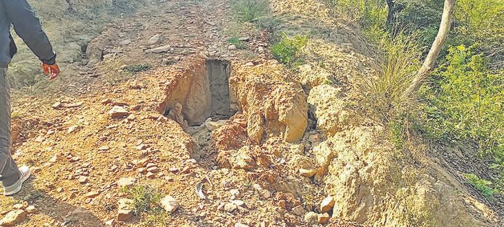Work in the city forest has stalled for one and a half years without ...