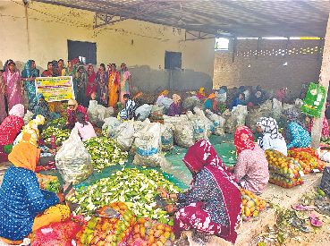 Trainees were taken on a visit to the pickle industries of Lohargal.