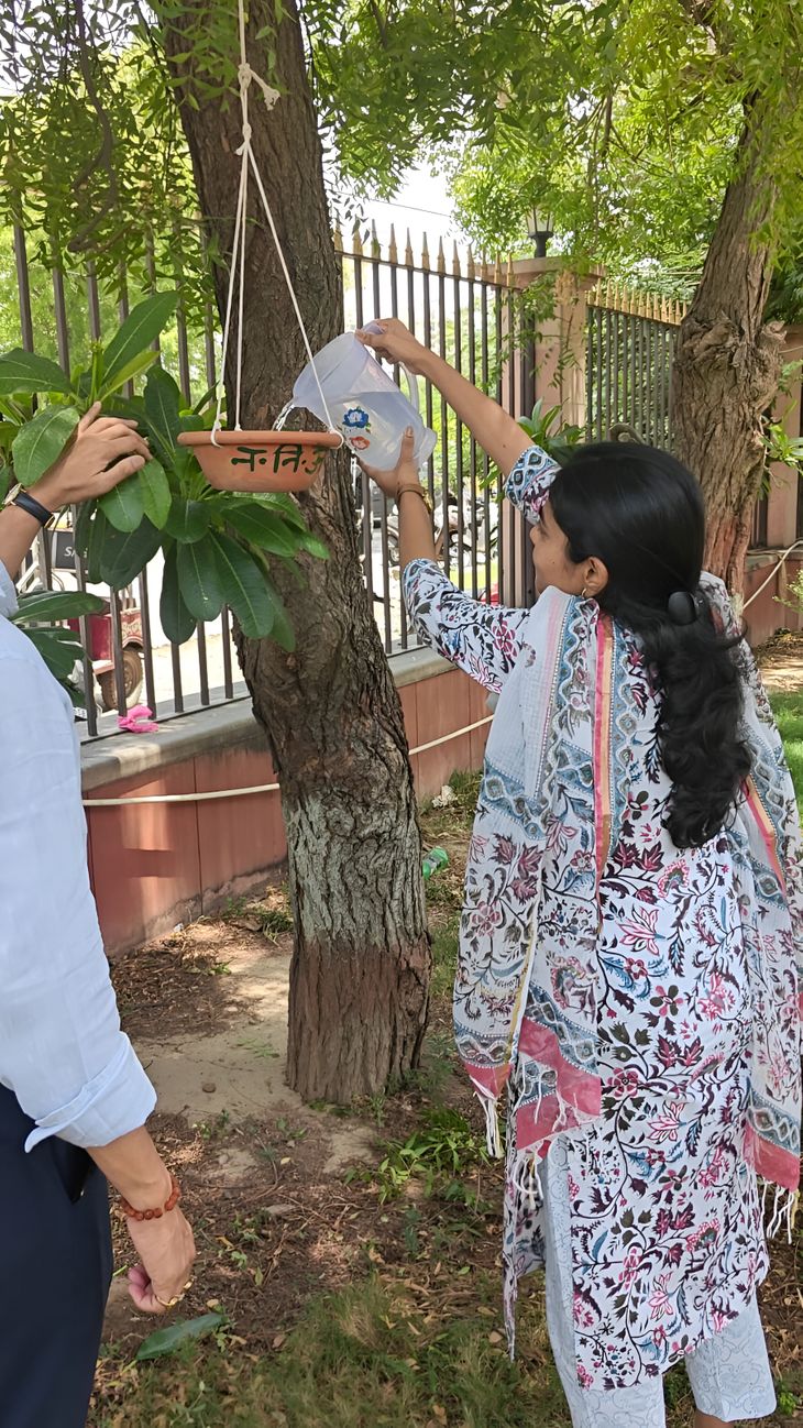 Bird feeders installed in the mini secretariat