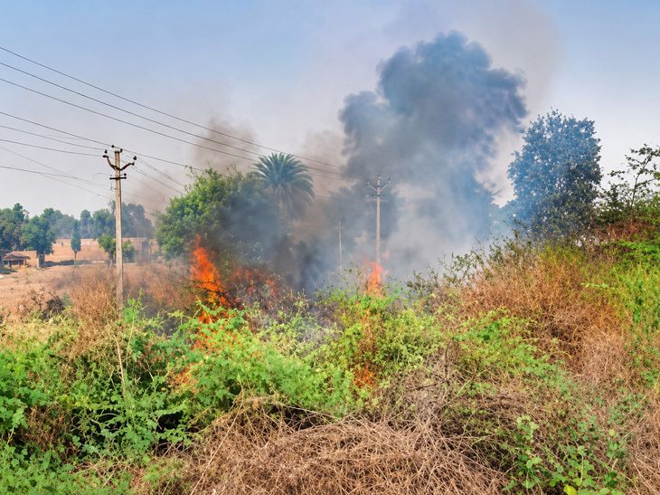 Sevari Khet Aag | Administration Questioned, Probe Demanded