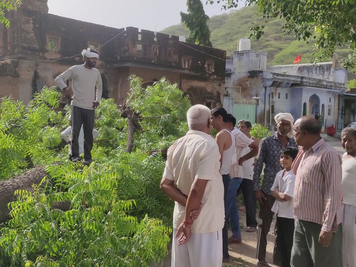 Jasrapur Accident: Neem Tree Branch Falls Near Temple, Priest Injured