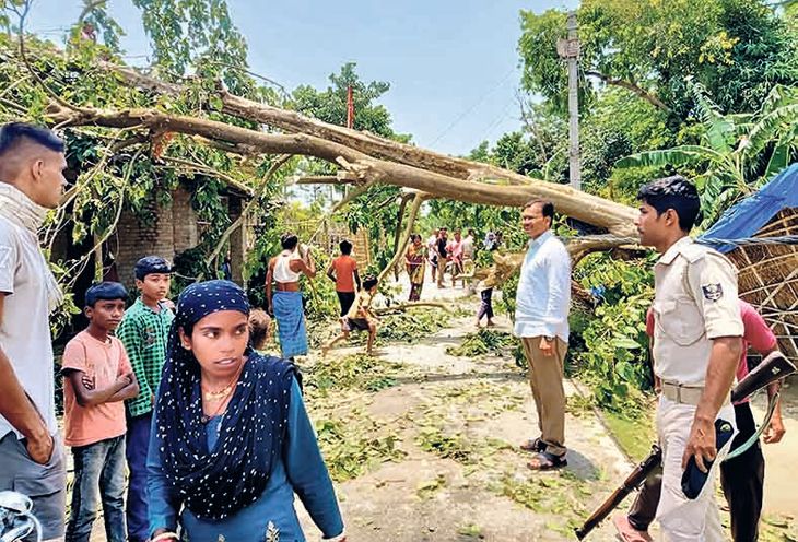 Train services halted for three hours after a tree fell on the railway ...