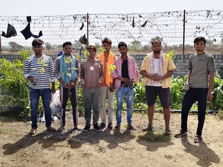 Veer Savarkar Jayanti: 51 Trees Planted in Chhabra; Env Protection Message