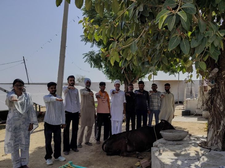 Sriganganagar Gaushala Cleanliness | Animal Care & Water Conservation ...