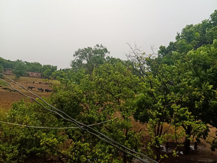 Chirai Gaon Power Outage | Banaras Storm Disrupts Supply