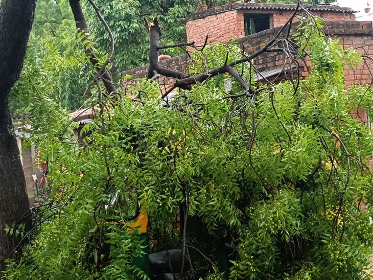 Khargpur Drivers Auto Damaged by Neem Tree Fall | Livelihood Crisis