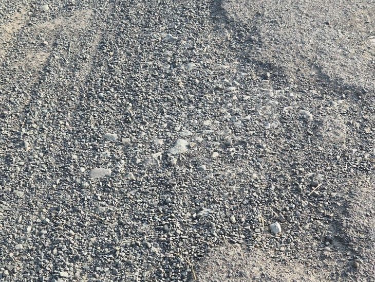 Pali Road Potholes Trouble Villagers, School Kids | Jajar Road