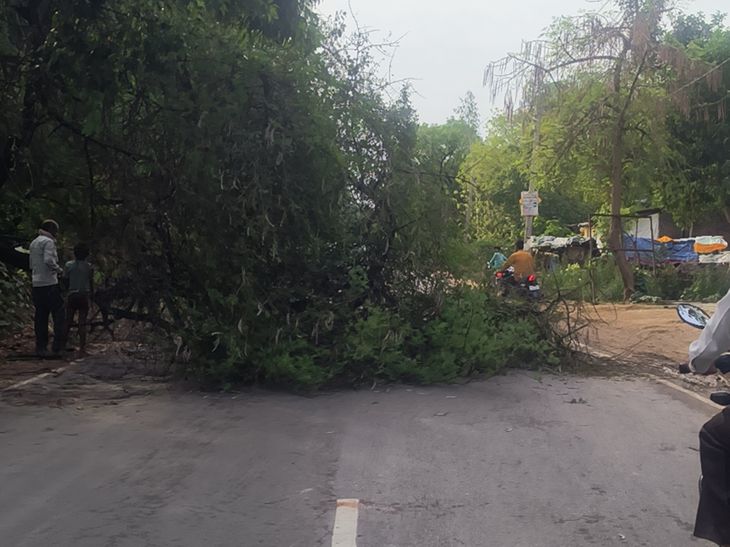 Raebareli Gurbakhshganj Road Traffic Jam | Storm Fell Tree