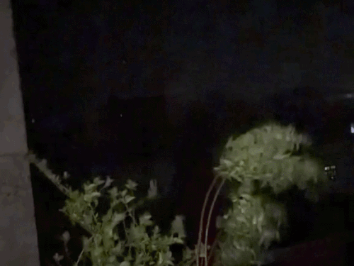 Prayagraj Storm Fury: 50-60 Kmph Winds & Heavy Rain