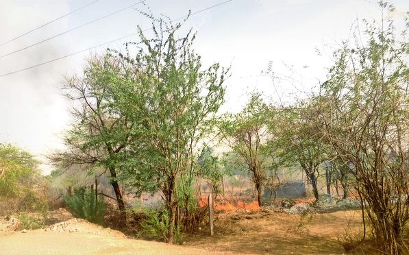 A massive fire in the fields caused panic, brought under control after ...