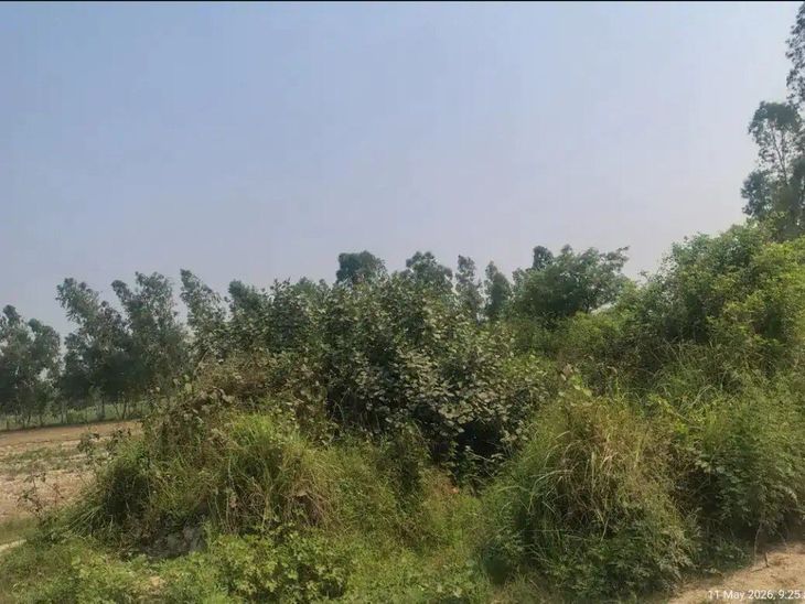 Shergarh Canal Badhal | Farmers Face Irrigation Distress