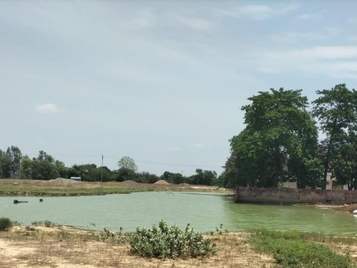 Barabanki Ramnagar Nagar Panchayat Initiative For Animals Amid Heat Wave