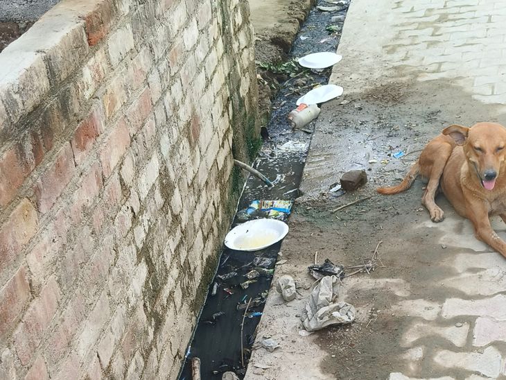 Rajapur Village Filth | Infectious Disease Risk Rises