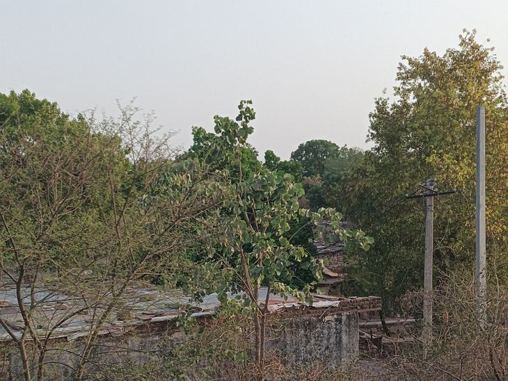 Rajasthan Rains Bring Relief from Heatwave | Mandsara Temperature Drops