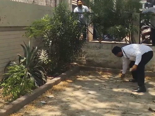 Kacheri Note Fiasco: Monkey Snatches Rs 2 Lakh, Throws Notes