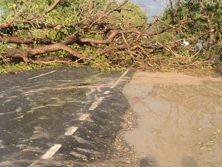 Sahpau Storm Damage | Crops Ruined, Trees Fall, Traffic Blocked