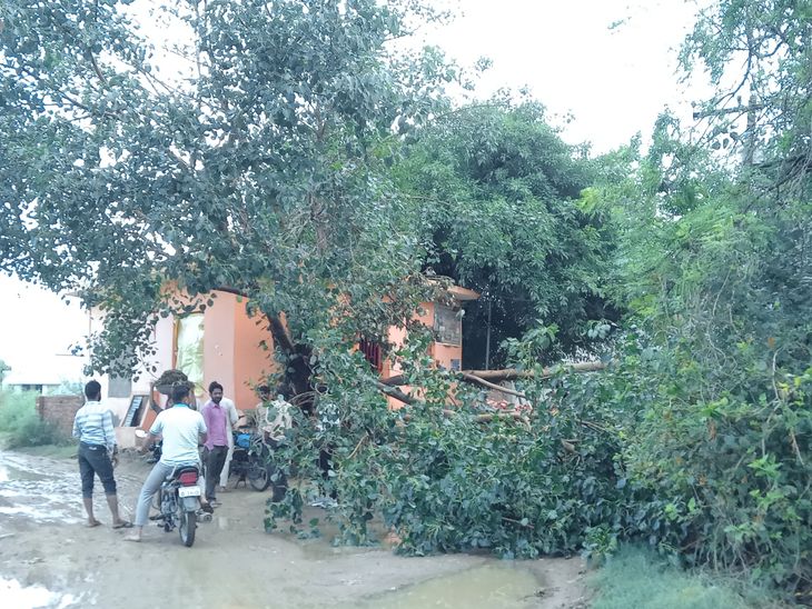 UP Assam Tree Fall Traffic Jam | Bihar Road Block