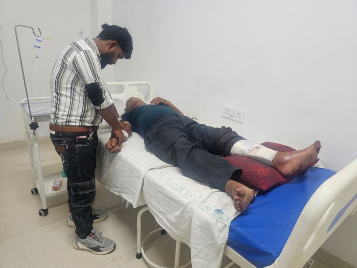 Mandsaur Accident: Tree Fall Causes Mishap, Bike Rider Injured; Driver ...