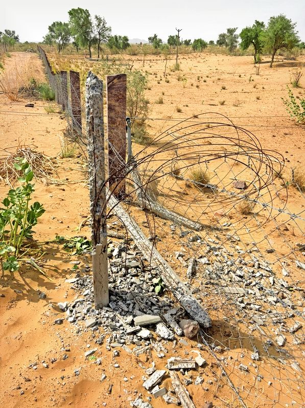 Strong storms destroyed trees and farm fences in the Patodi area.