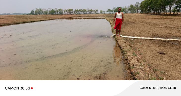 Rice nurseries are being planted with the onset of Rohini Nakshatra.