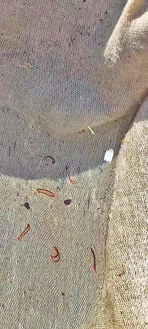 Dirty water and insects also emerged from the taps in Gajwada