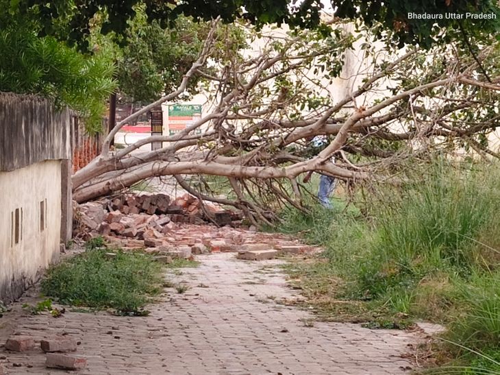 Sevrai Tehsil Block Road Blocked | Tree Fall Disrupts Commute
