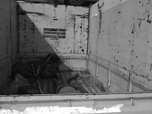 Siwan Minor Rape & Murder: Body Found Hanging From Tree