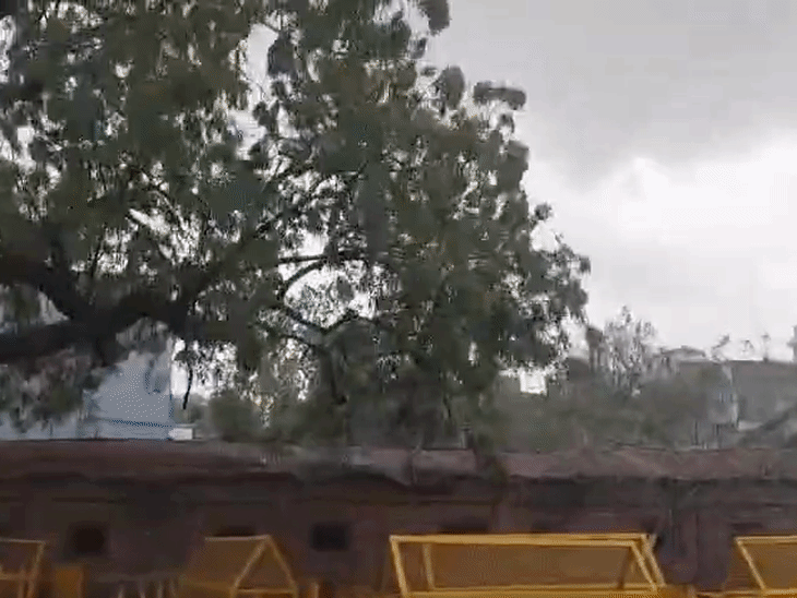 Khandwa Storm Uproots Trees, Hoardings; Rain Brings Chill
