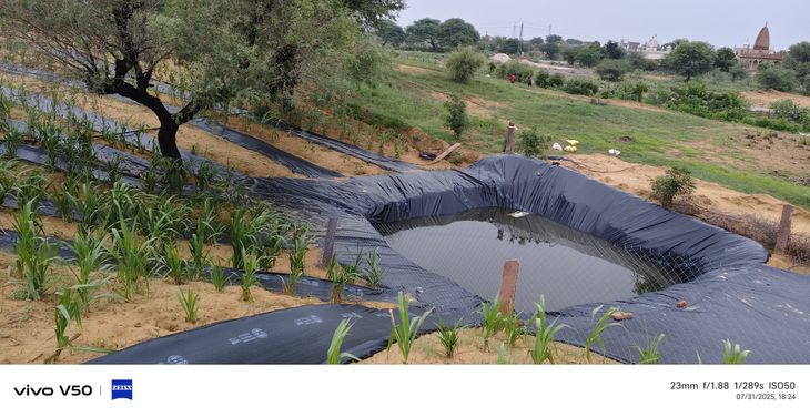 Cowshed's unique water management system; a pond constructed from ...