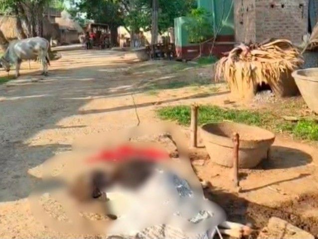 Bihar Cow Death by Electrocution | Six Accused in Munger
