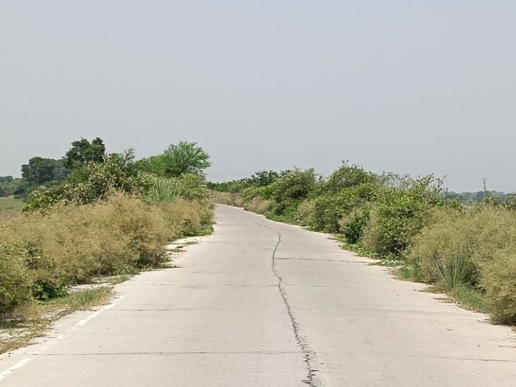 Balia Villagers Demand SDM Immediate Cleaning of Roadside Bushes