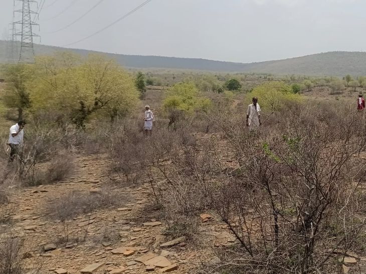 Mentally Ill Youth Found Safe in Rajasthan Forest | Dabi, Boondi
