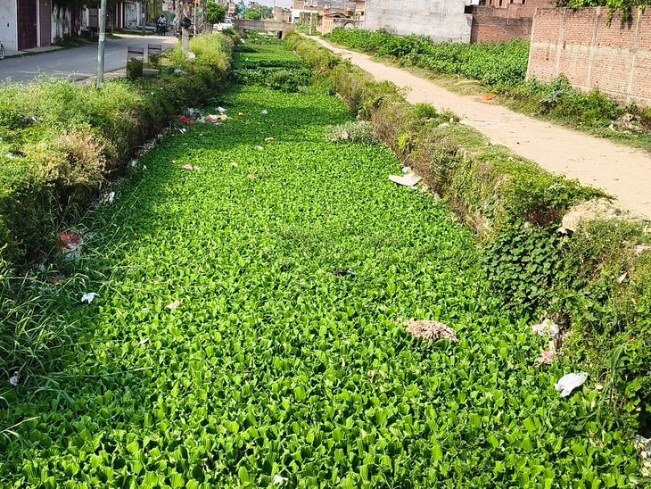 Nautanwa Canal Becomes Garbage Dump; Disease Risk Rises