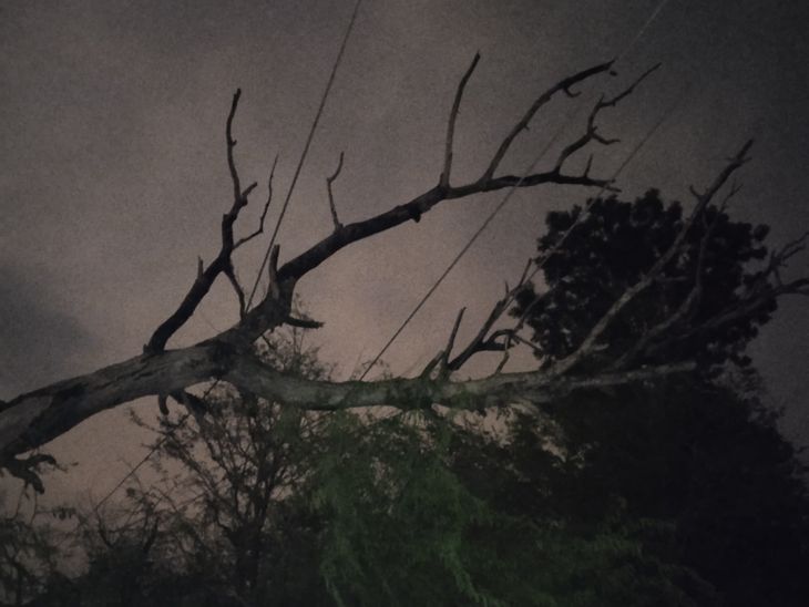Salumber GS Power Disrupted | Tree Falls on 33kV Line; 5 GSses Affected