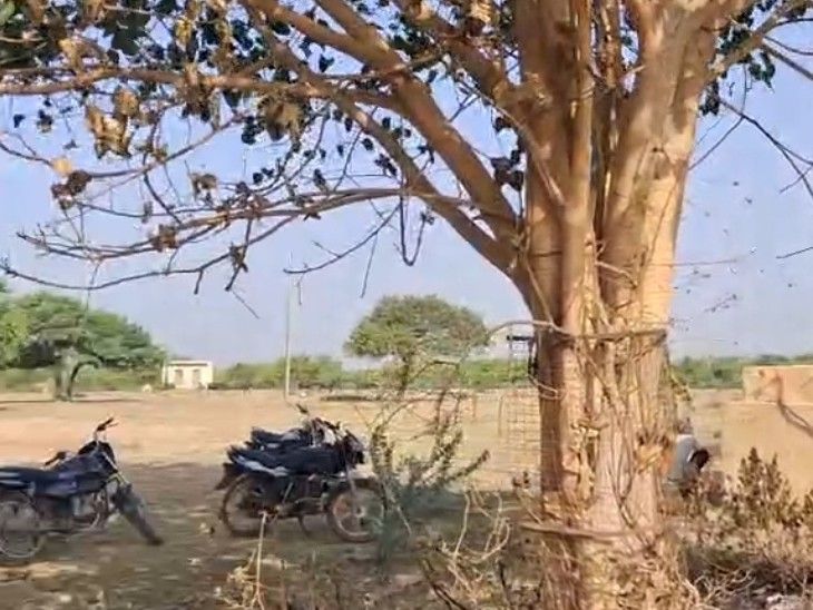 Western Disturbance: Rain, Hail to Drop Temperature | Kunjad Yellow Alert