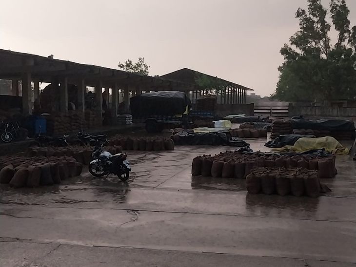 Sultanpur Farmers Fear Financial Loss | Rain Damaged Crops