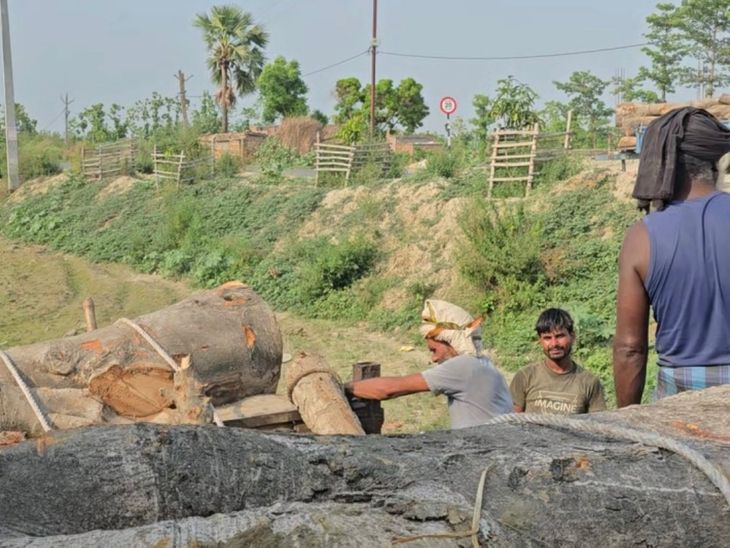 Betia Block Road Cleared After CM Orders Forest Dept Action