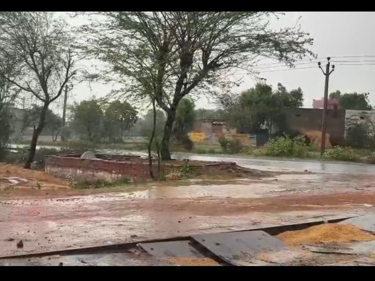 Deeg Rain Relief | Farmers Benefit From Temperature Drop