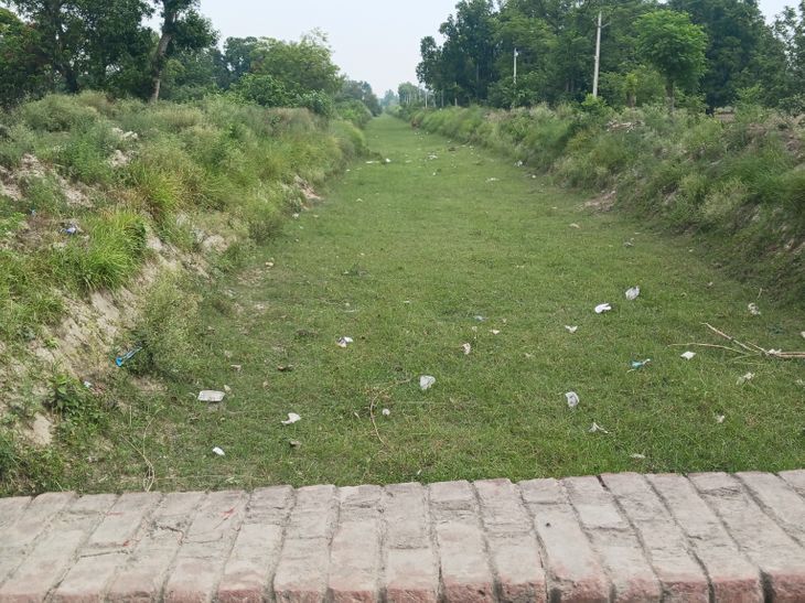 Amethi Farmers Struggle | Canal Water Shortage Hits Dhan Nursery ...